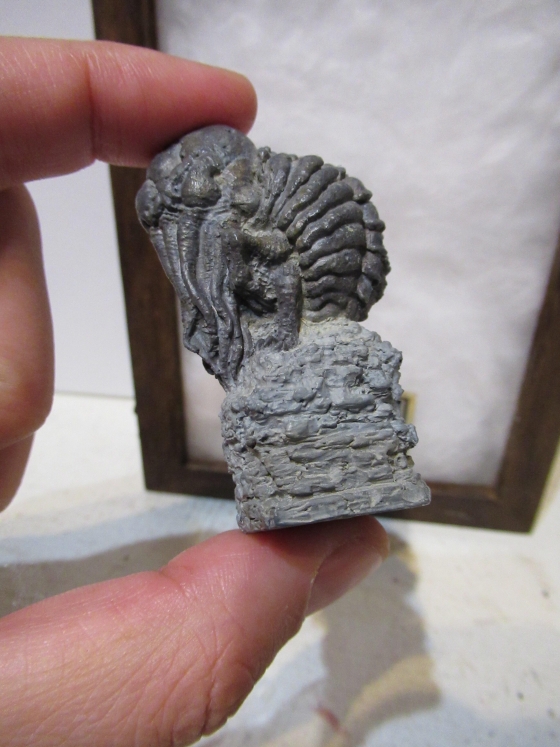 Cthulhu (クトゥルフ) Fossil Miniature – Ryu Oyama (大山竜) Archive